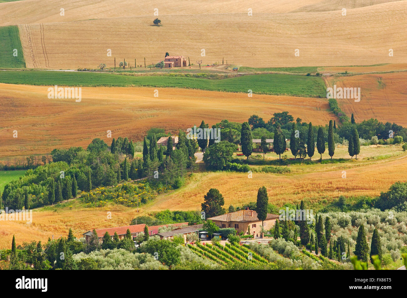 Val d'Orcia, Orcia Valley, Fields and Farmhouses, Tuscany Landscape ...