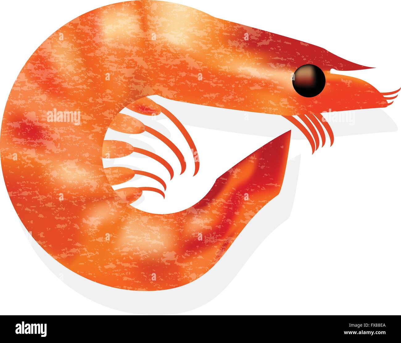 realistic shrimp isolated Stock Vector Image & Art - Alamy