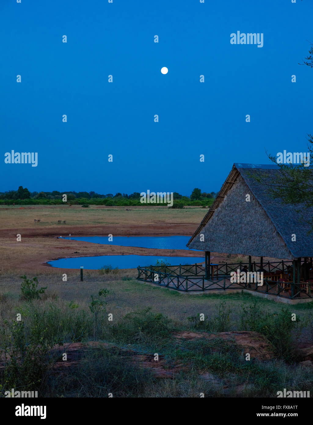 Moonrise over the waterholes of the Voi Wildlife Lodge on the edge of ...