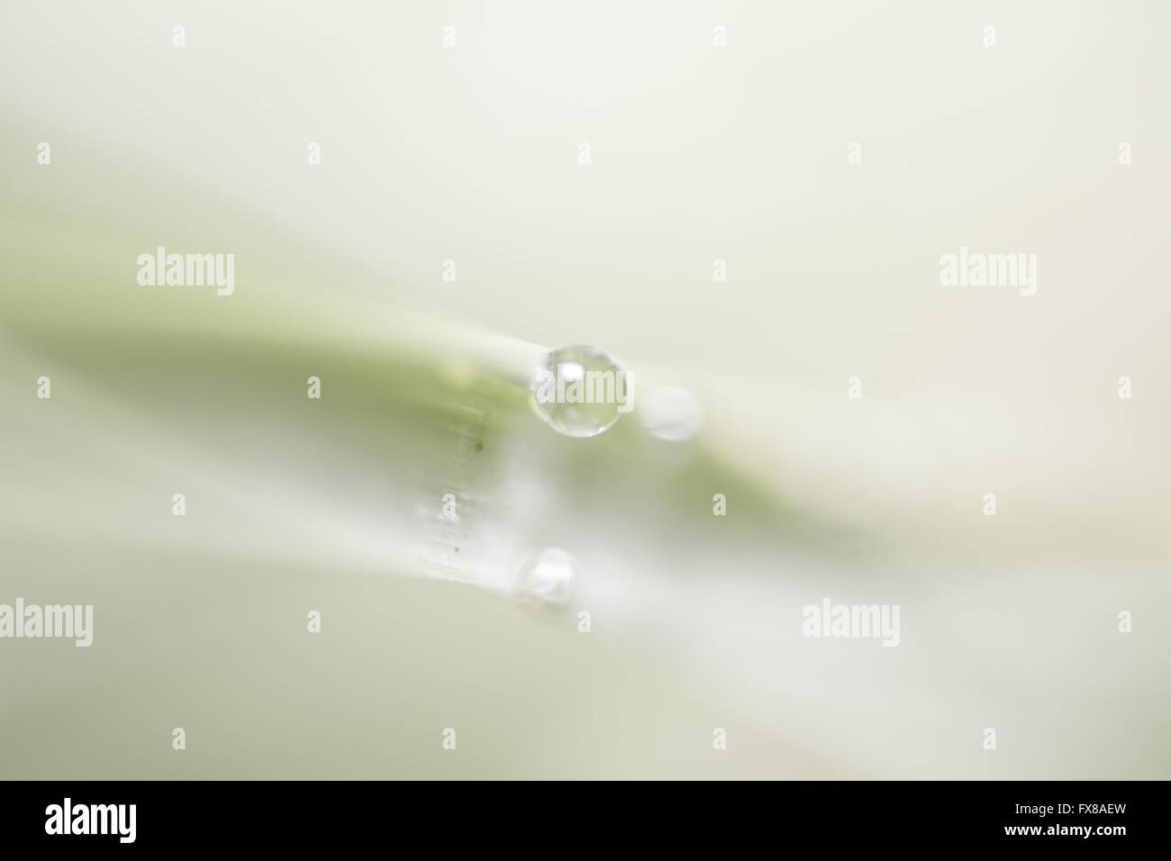 Water drop effect texture Stock Photo - Alamy