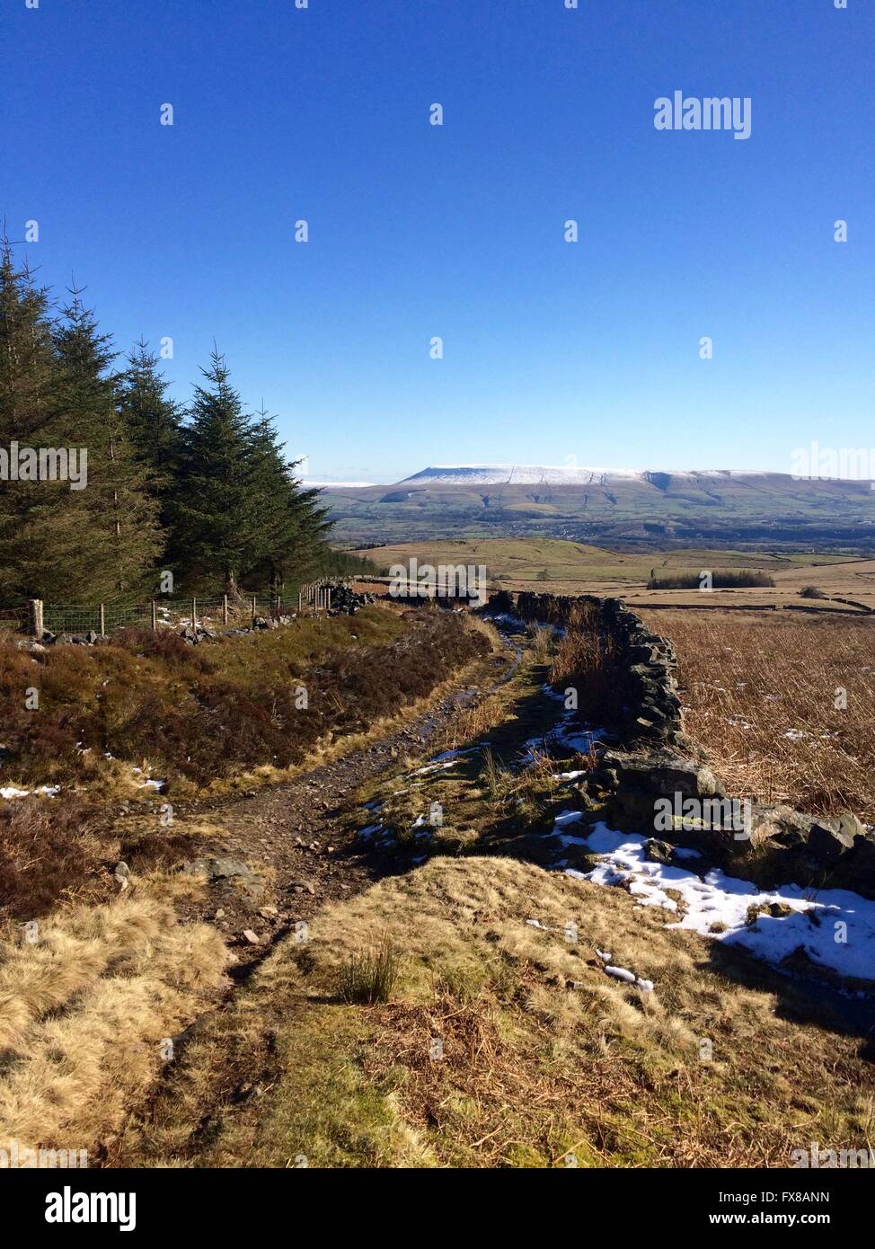 Pendle Hill seen from across the Ribble Valley on Grindleton Fell ...