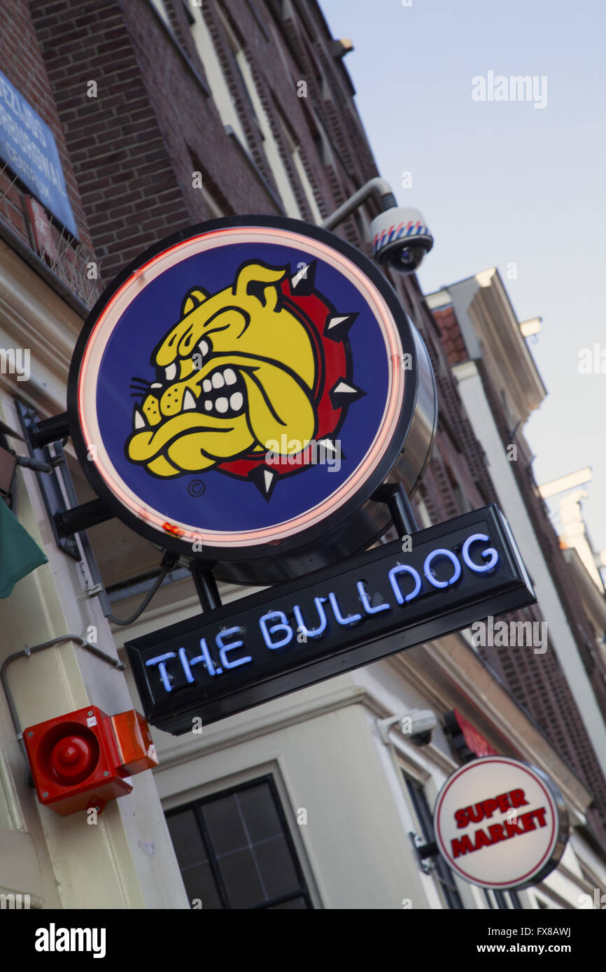 The Bulldog coffeeshop in Amsterdam Holland Stock Photo - Alamy
