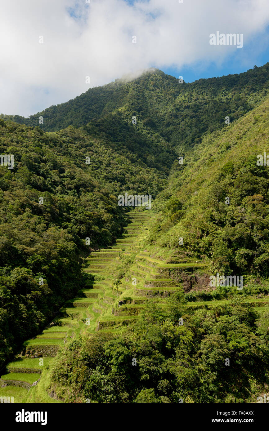 Batad rice terraces in Ifugao, Philippines Stock Photo - Alamy