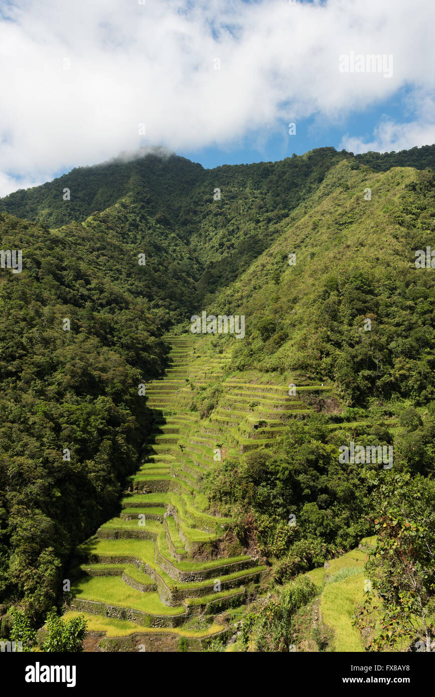 Batad rice terraces in Ifugao, Philippines Stock Photo - Alamy