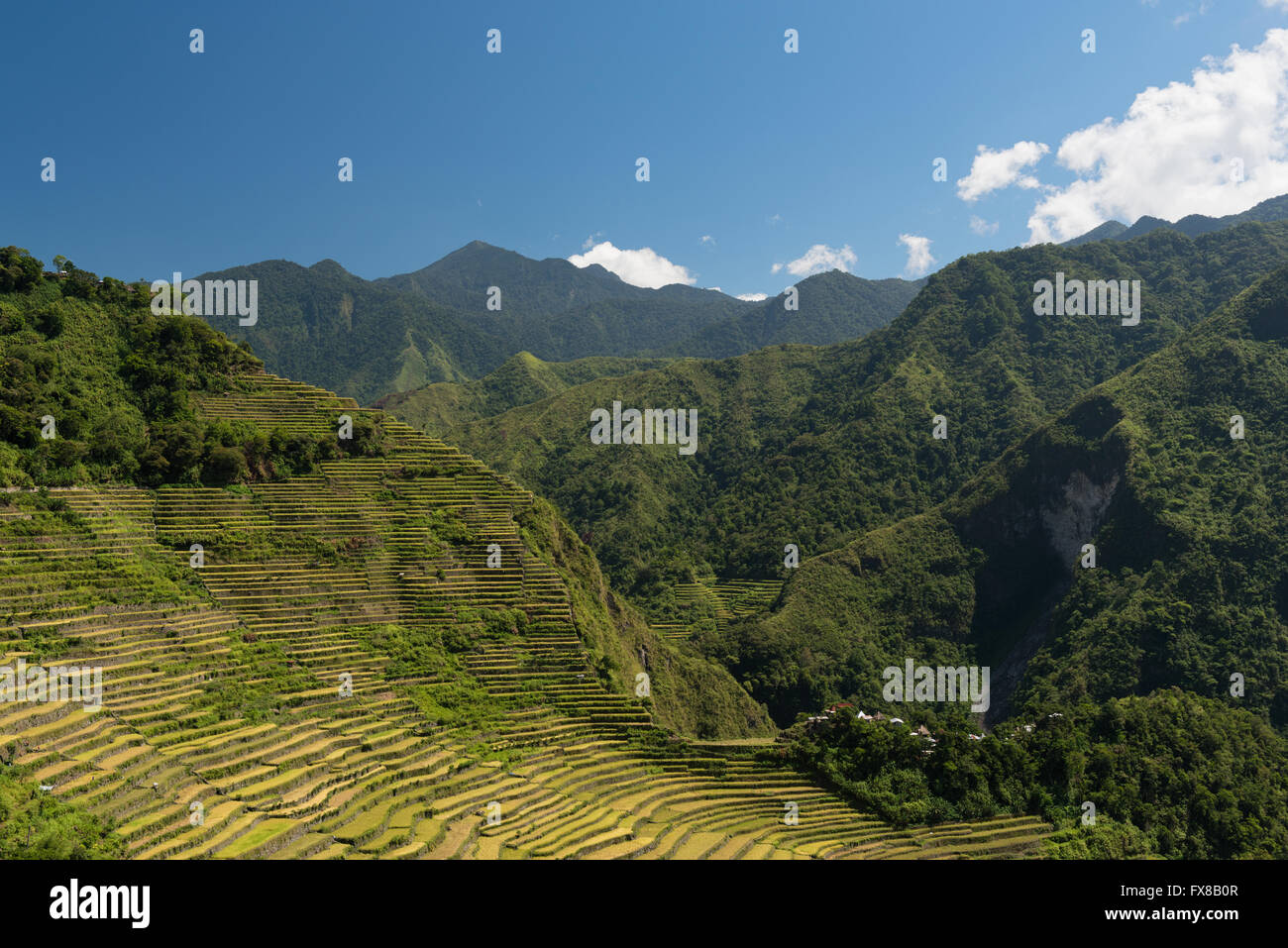Philippines ifugao province village hi-res stock photography and images ...