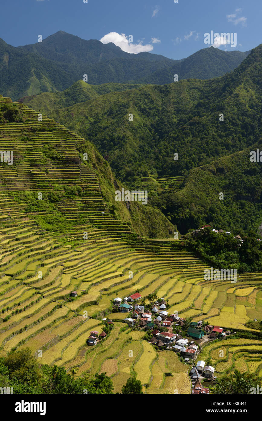 Ifugao culture hi-res stock photography and images - Alamy