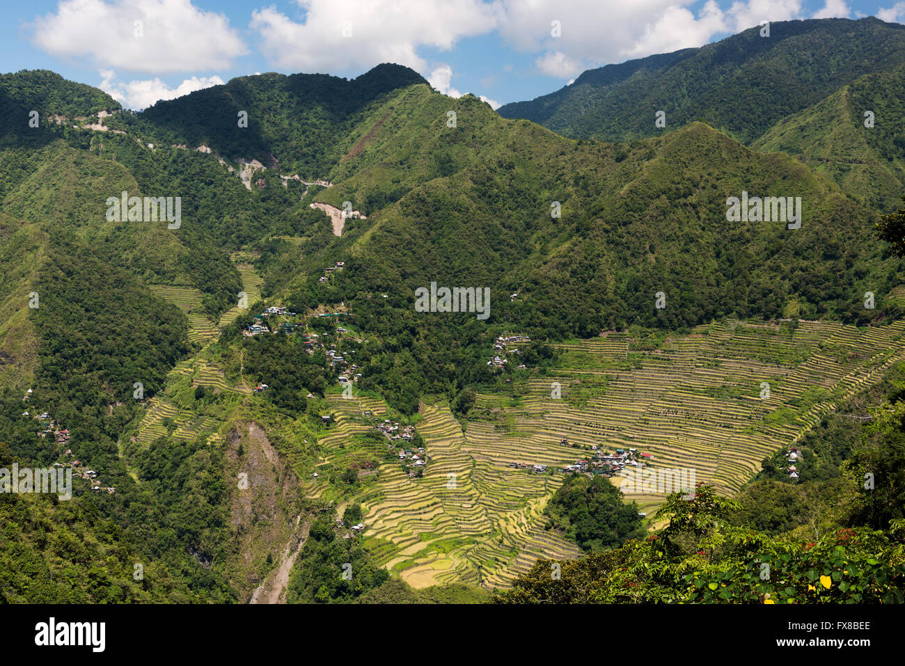 Batad rice terraces in Banaue, Ifuego , Philippines. Batad is situated ...
