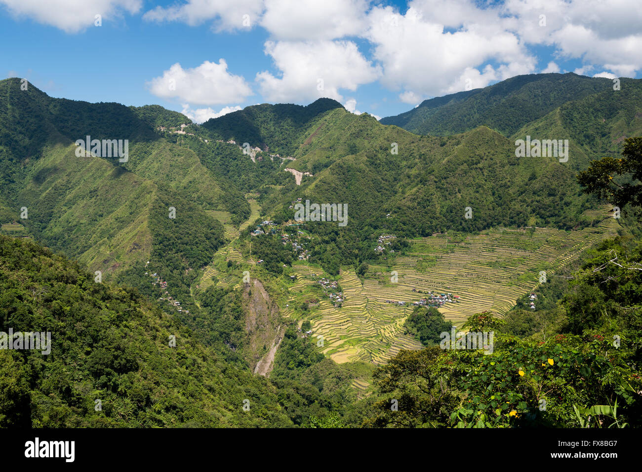 Batad rice terraces in Banaue, Ifuego , Philippines. Batad is situated ...