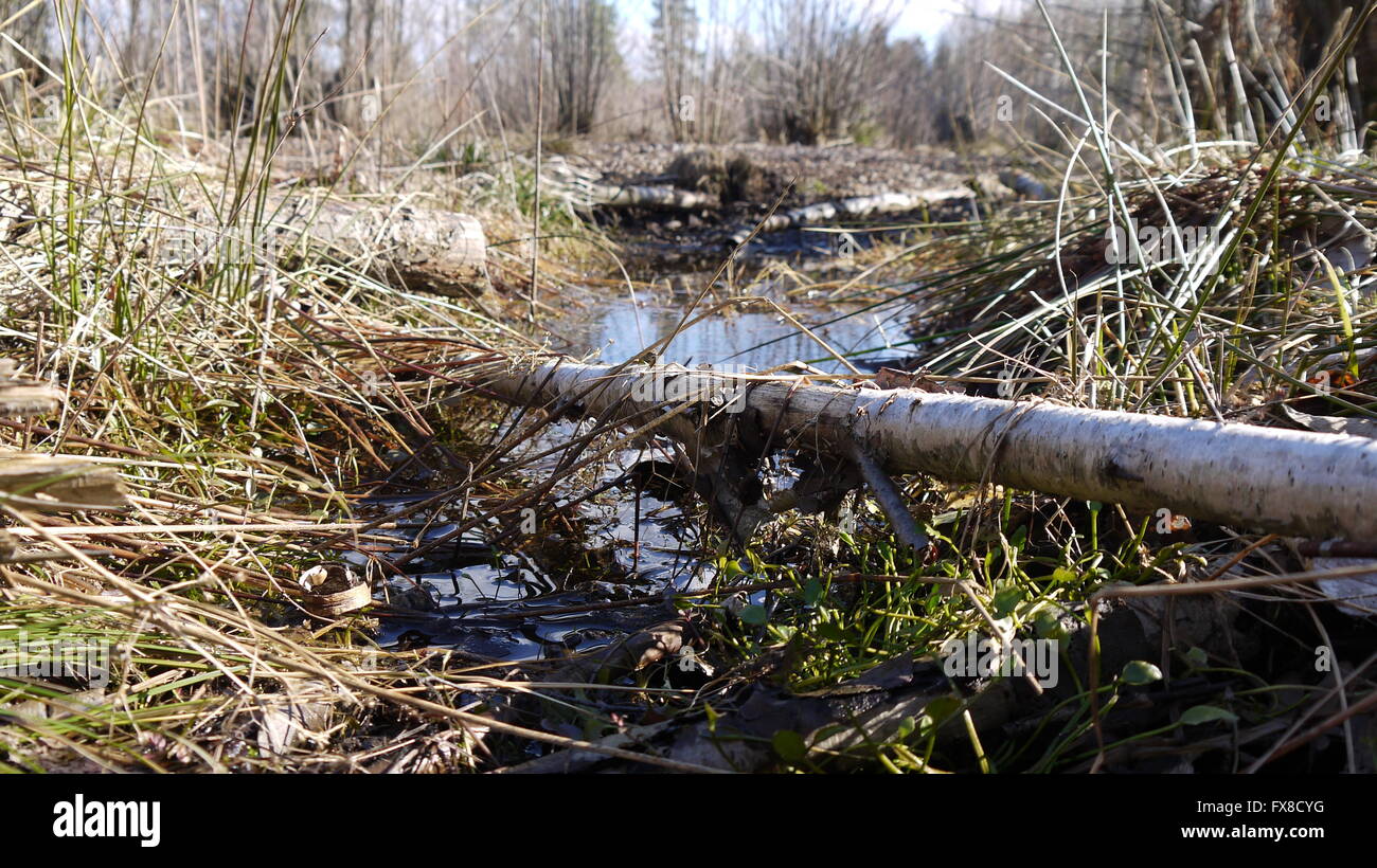 Fallen water hi-res stock photography and images - Alamy