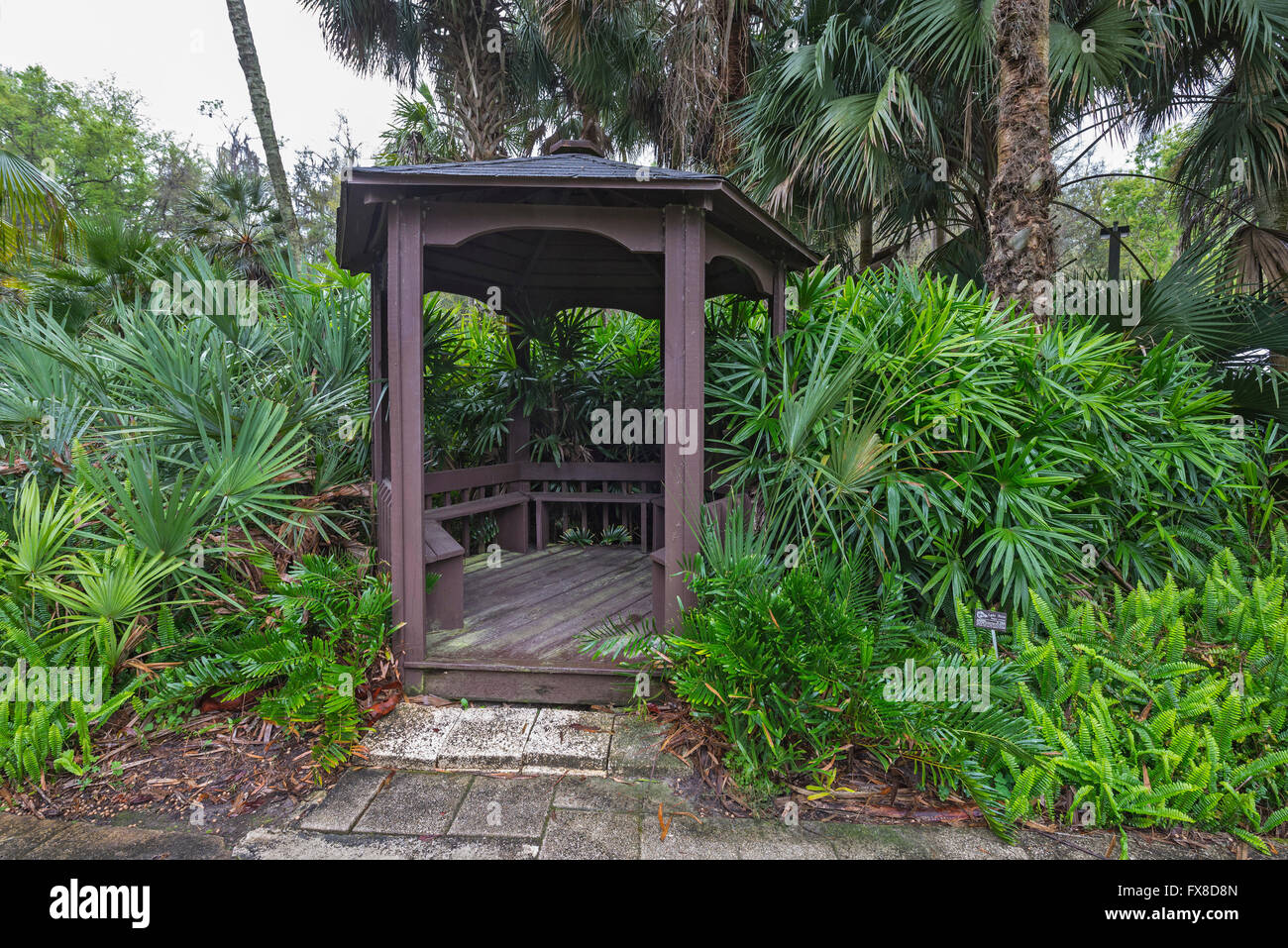 A garden scene in North Central Florida Stock Photo - Alamy