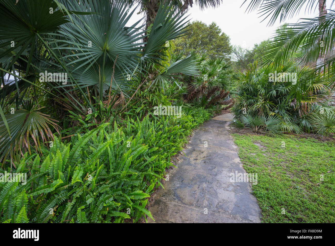 A garden scene in North Central Florida Stock Photo - Alamy