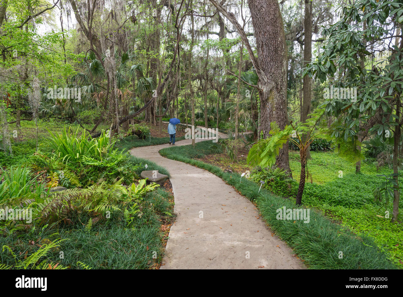 A garden scene in North Central Florida Stock Photo - Alamy