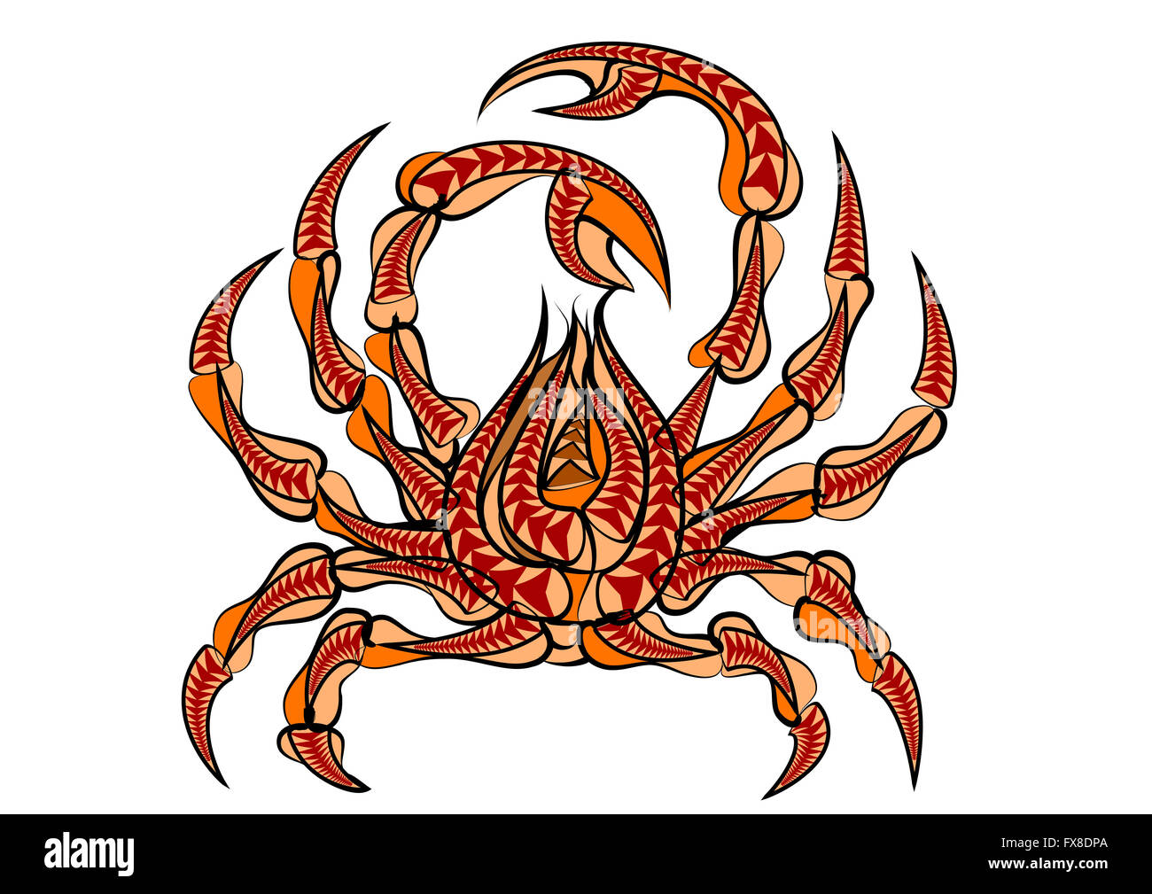 Spider crab shell hi-res stock photography and images - Alamy