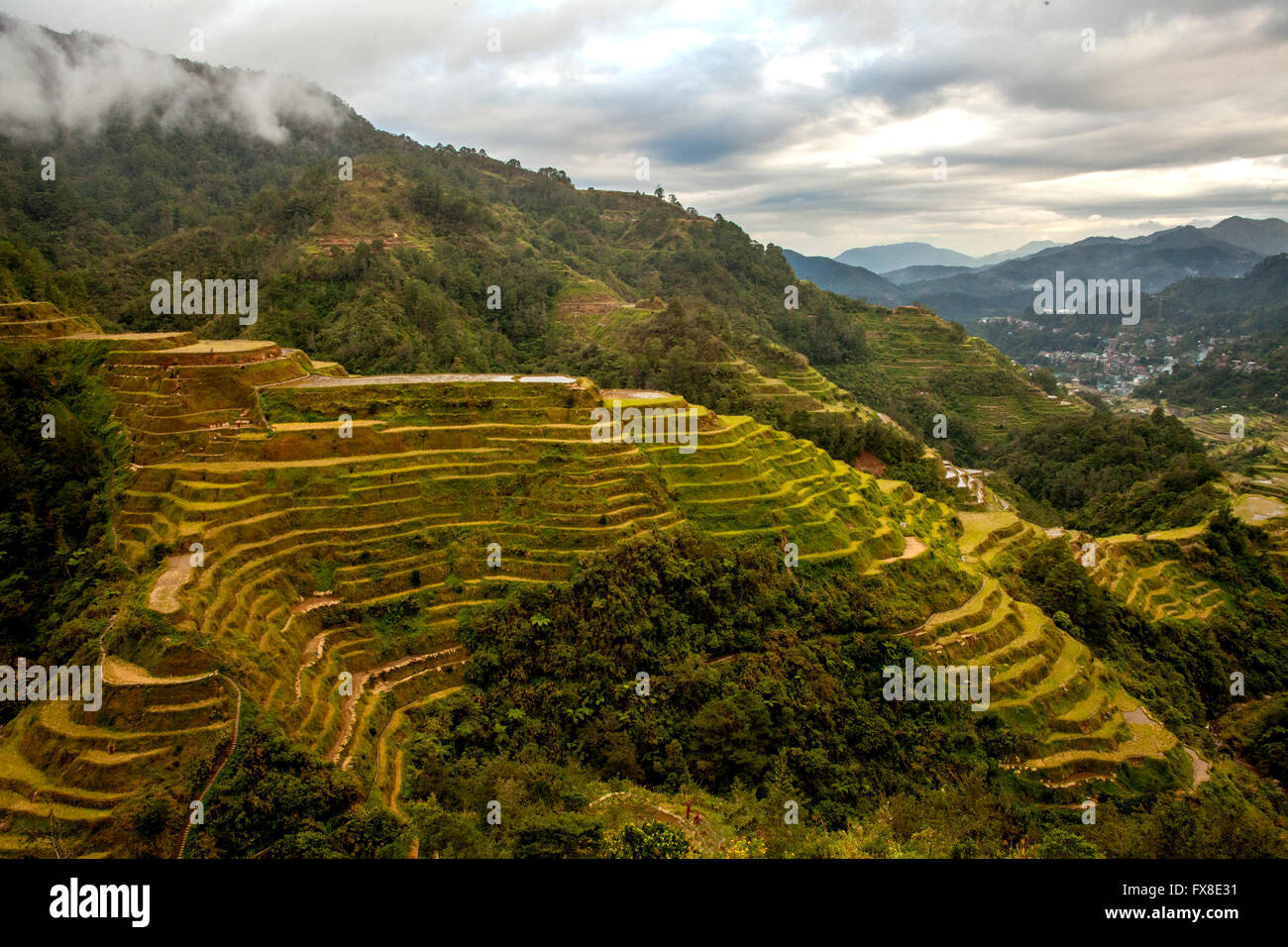 Agricultural rice terraces philippines hi-res stock photography and ...