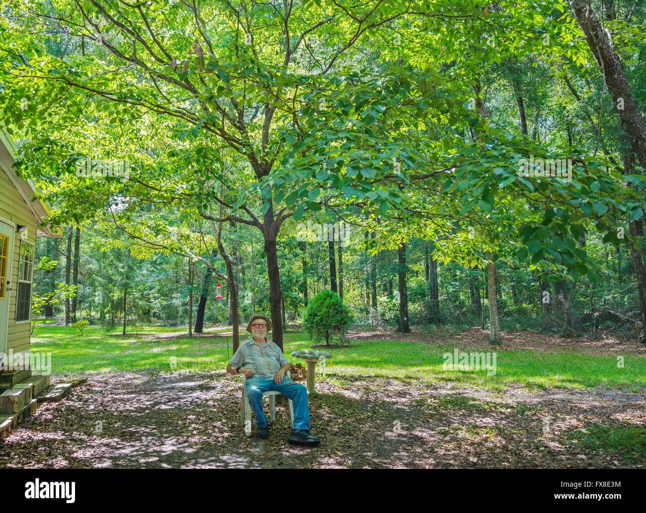 Man sitting under tree hi-res stock photography and images - Alamy