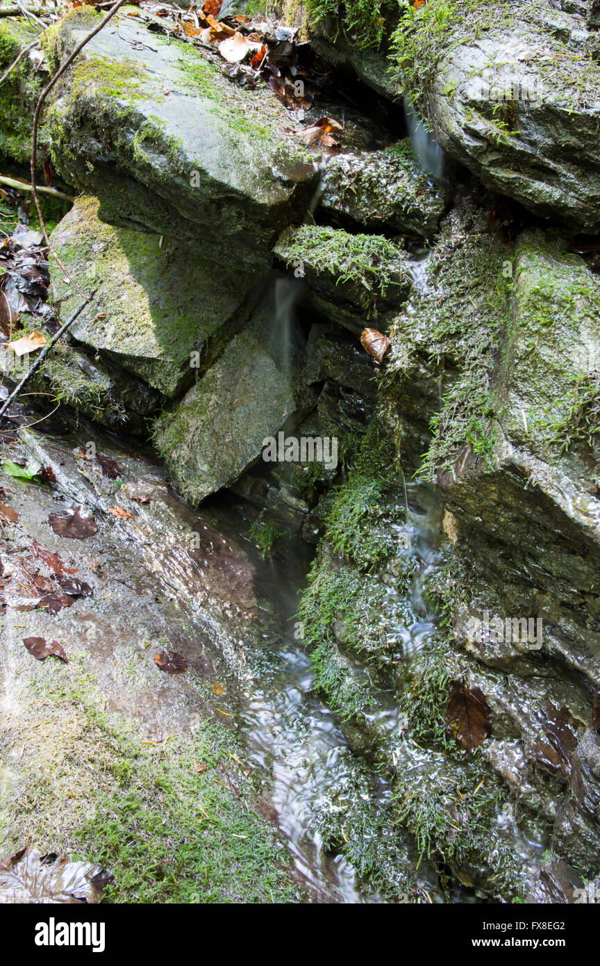 Natural springwater hi-res stock photography and images - Alamy