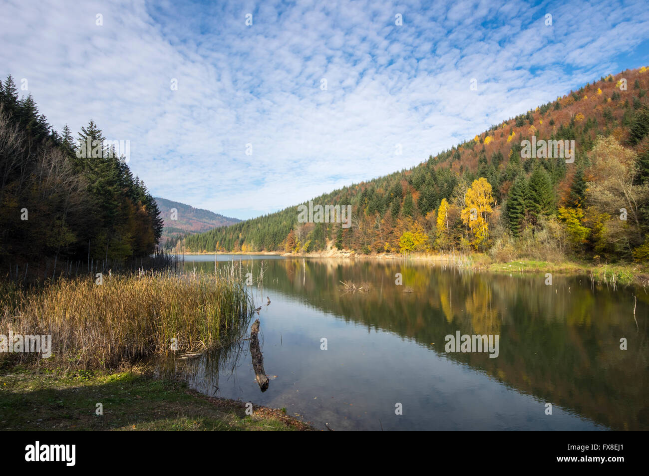 Scout lake hi-res stock photography and images - Alamy