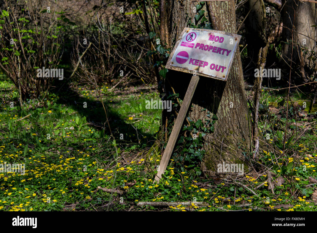 Mod property hi-res stock photography and images - Alamy