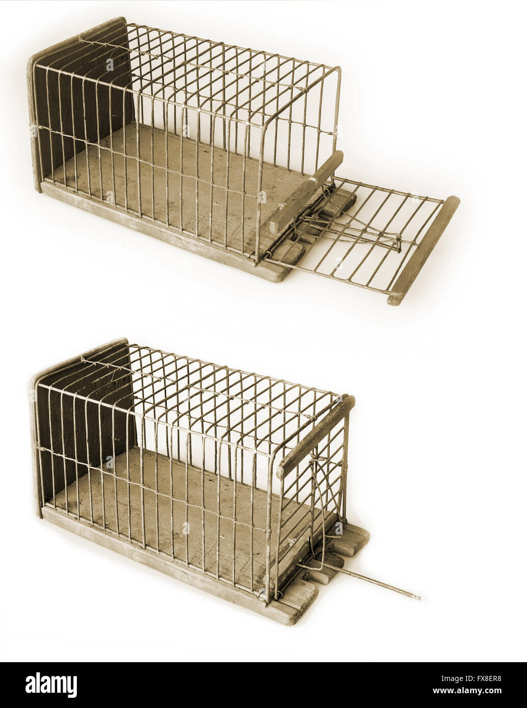 Pitfall Trap High Resolution Stock Photography and Images - Alamy