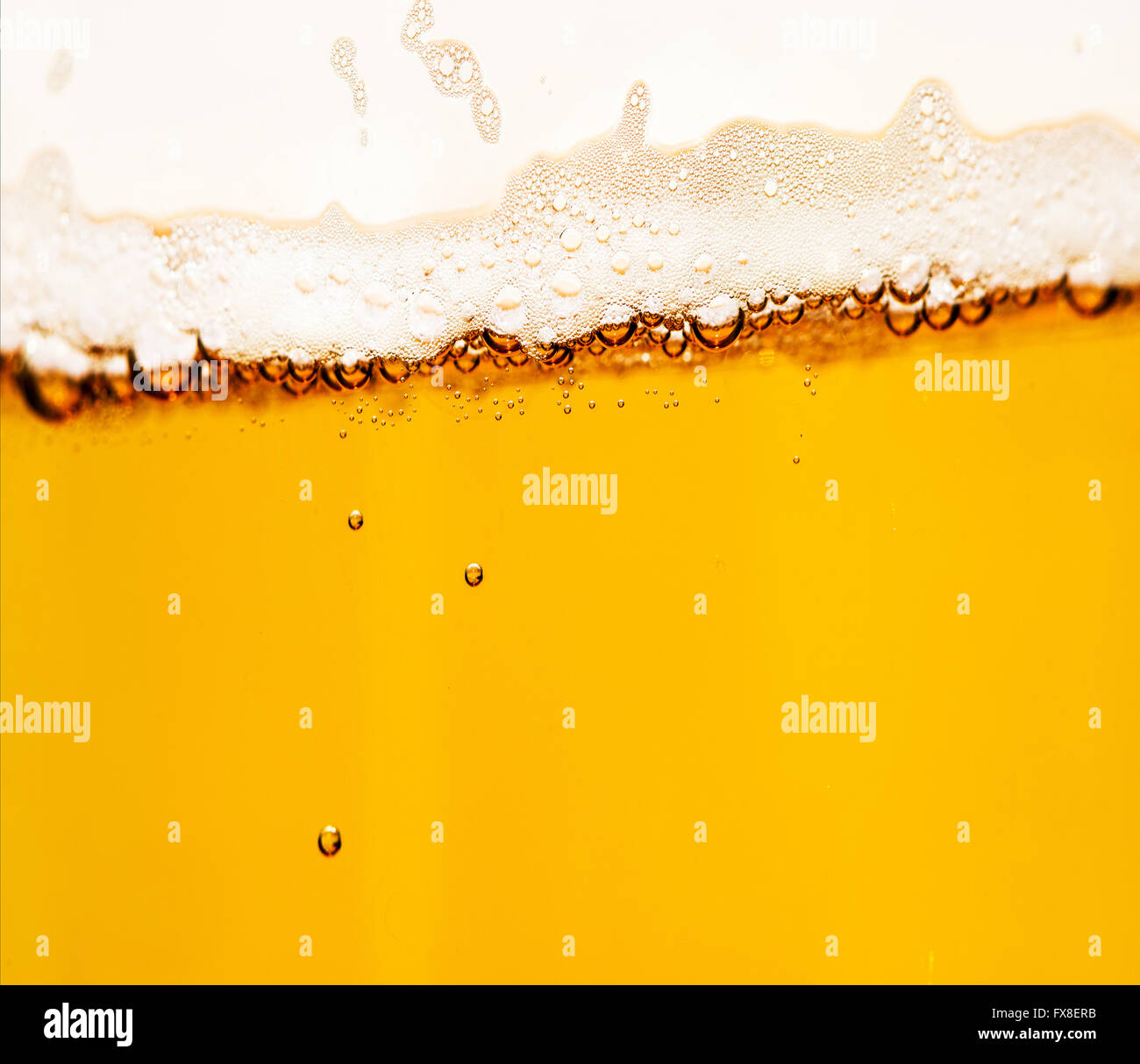 beer in glass, closeup Stock Photo - Alamy