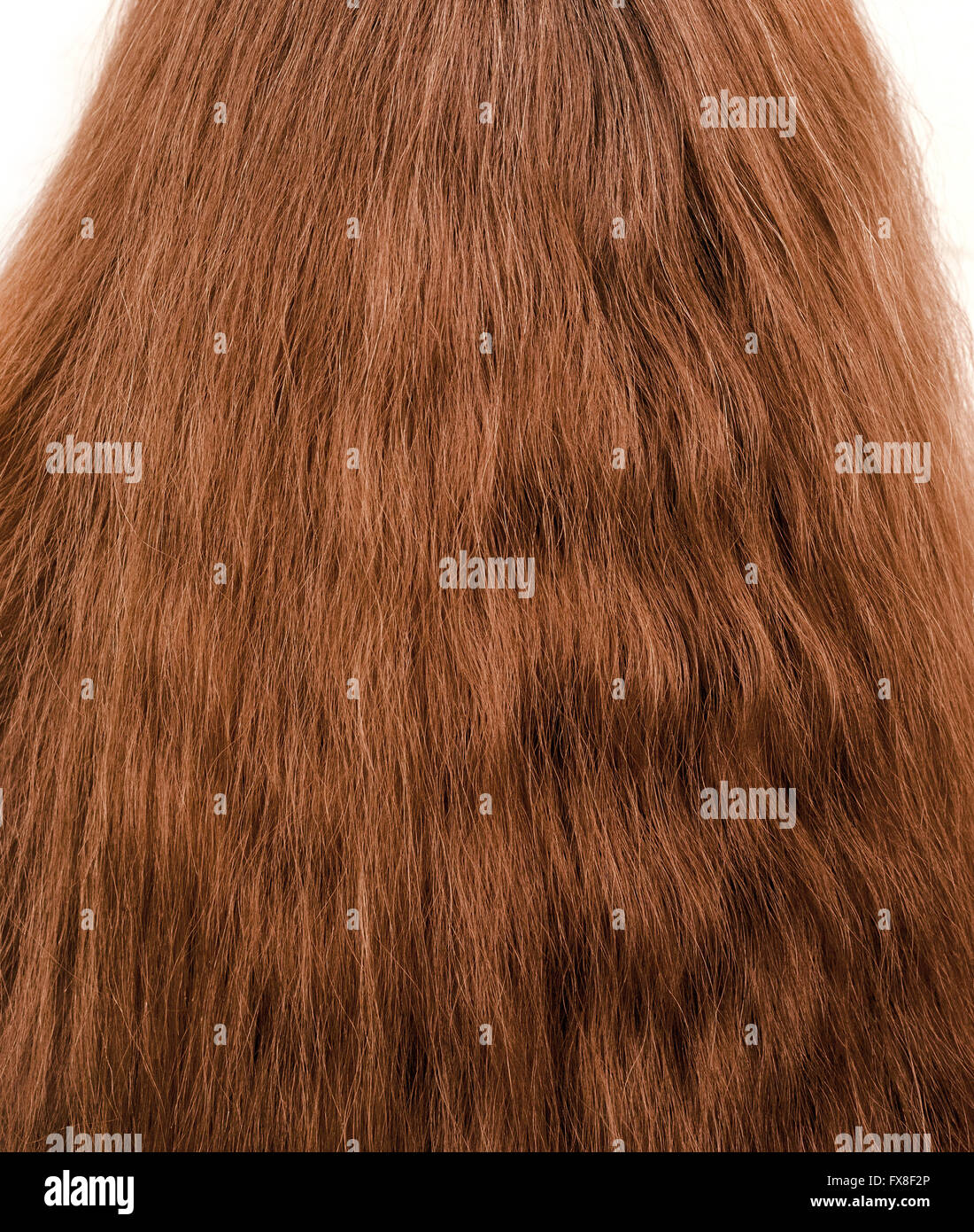 Hairy Woman High Resolution Stock Photography and Images - Alamy
