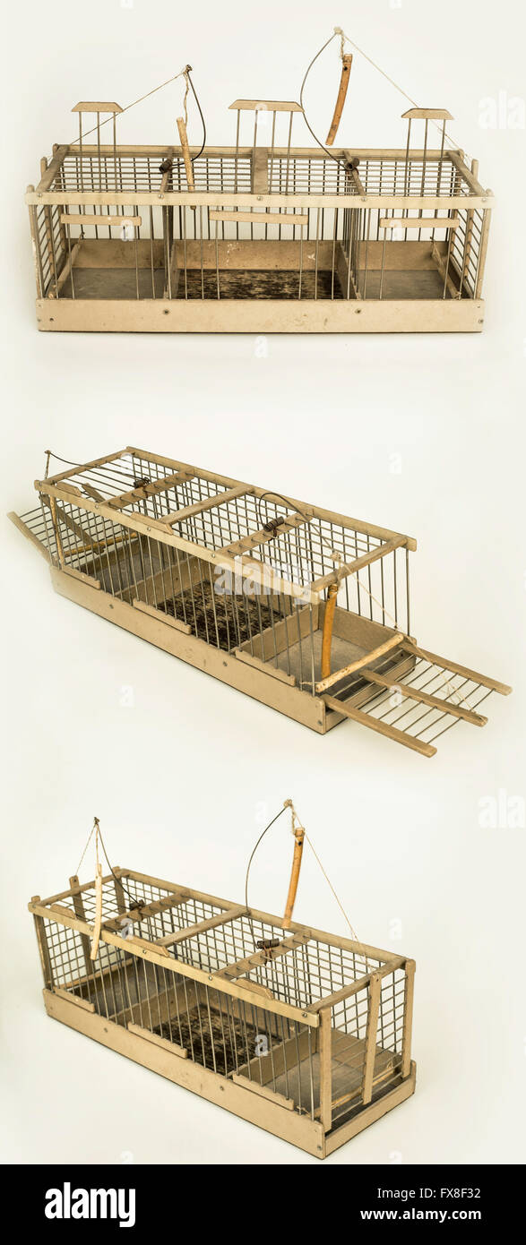 Bird trap hi-res stock photography and images - Alamy