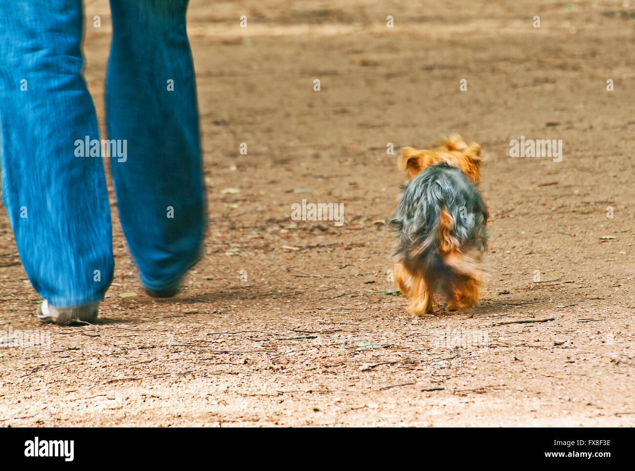 Owner jeans hi-res stock photography and images - Alamy