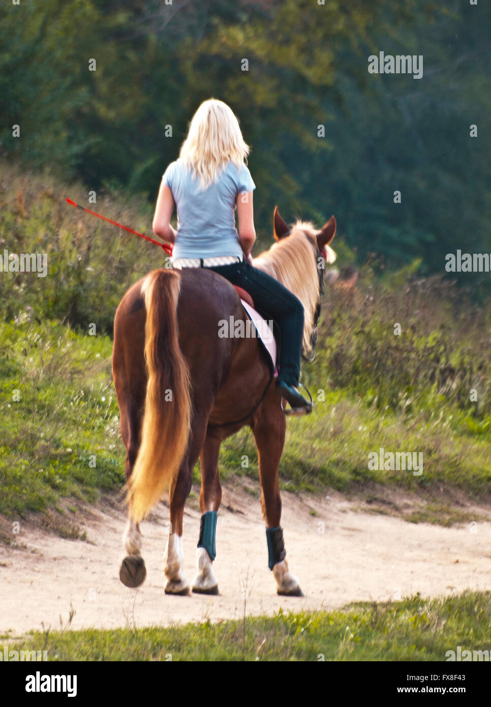 Equestrian girl hi-res stock photography and images - Alamy