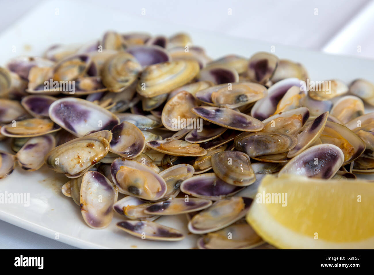 Typical Spanish shellfood Stock Photo - Alamy