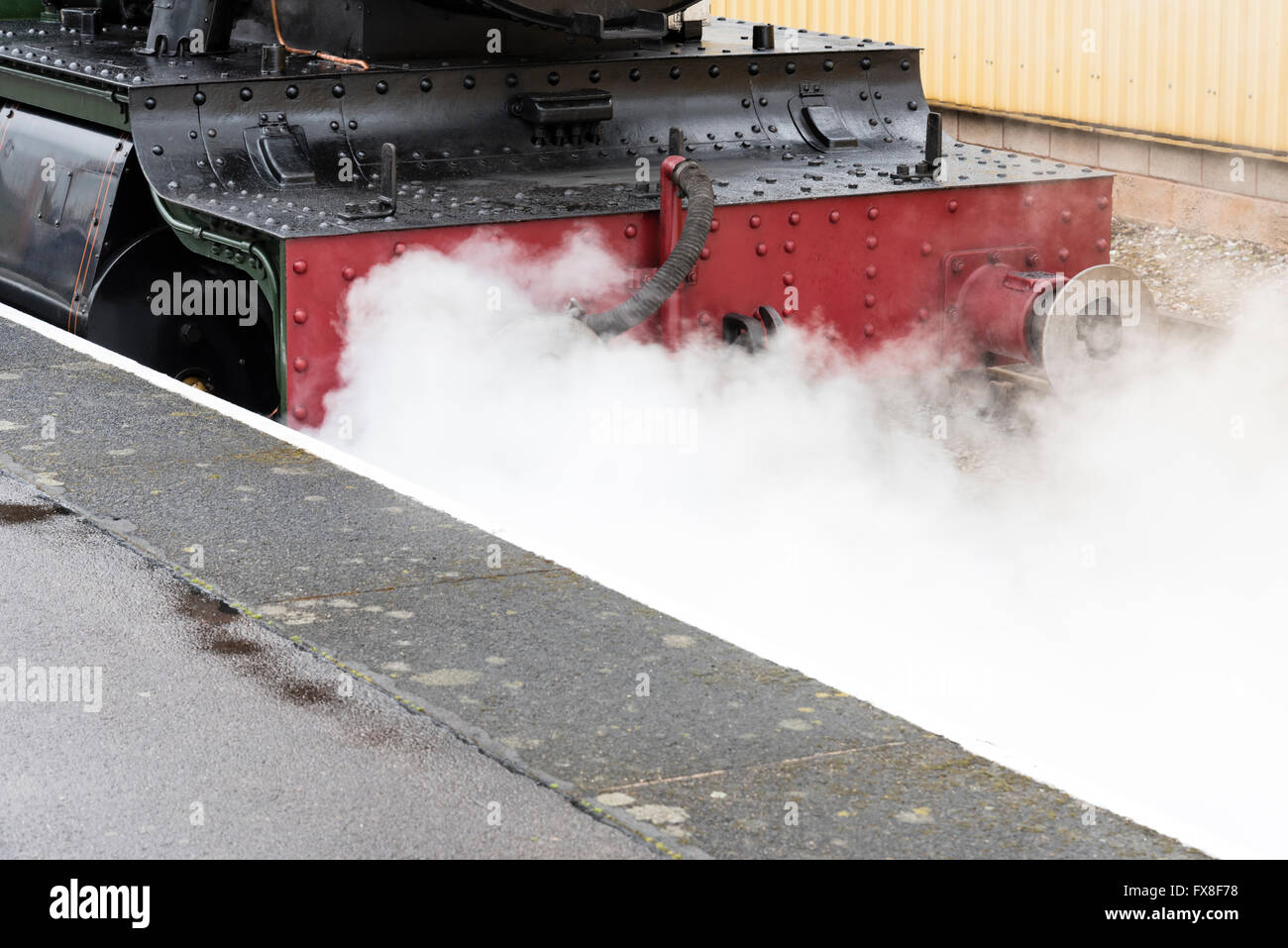 Steam engine head steam, West Somerset Railway, UK Stock Photo - Alamy