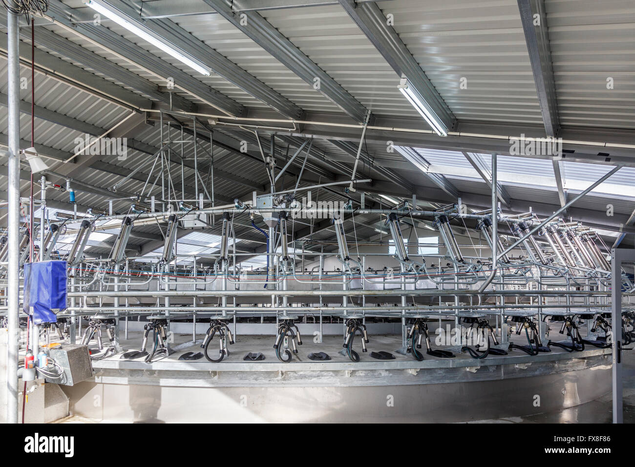 Milking cow stalls on rotary platform in Dairy shed, Mid Canterbury ...