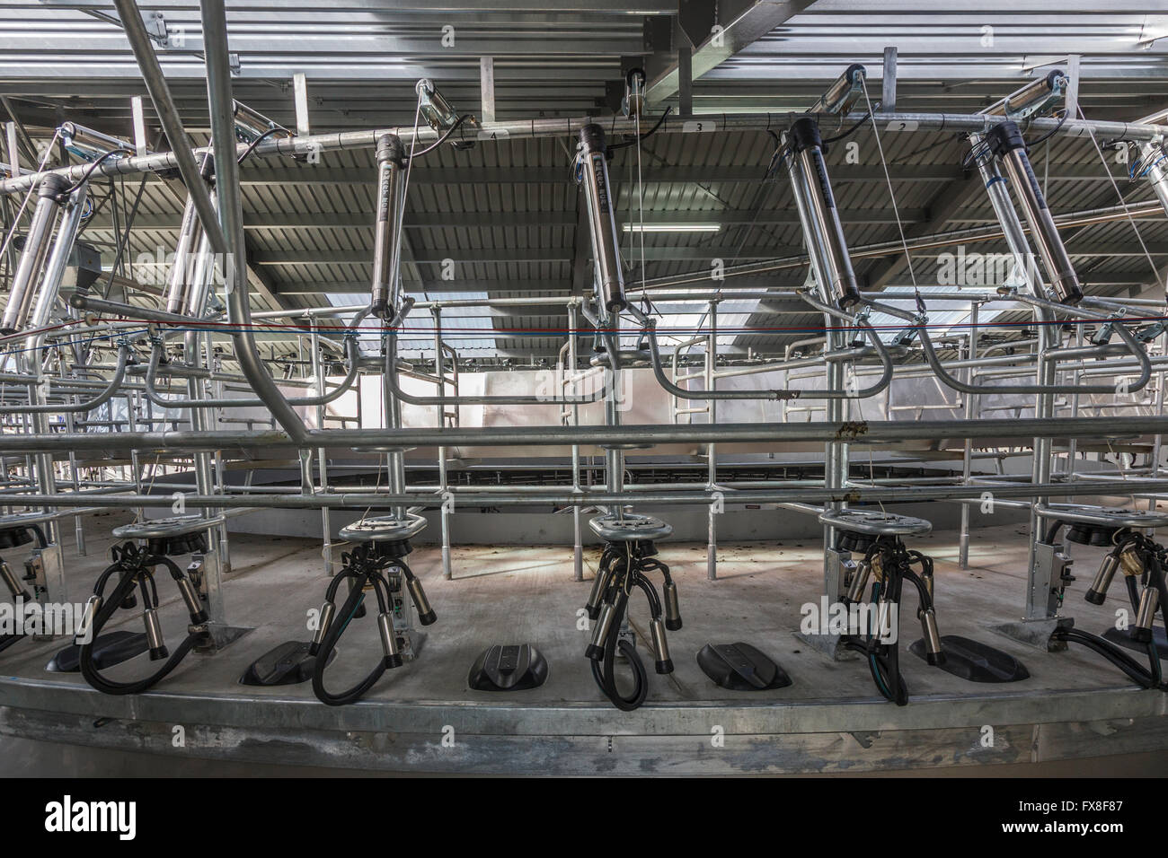 Rotary dairy shed hi-res stock photography and images - Alamy