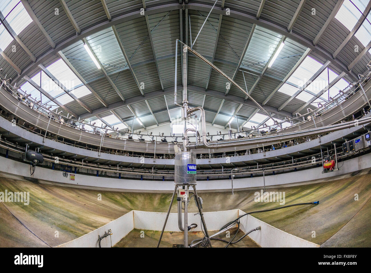 Milking shed new zealand hi-res stock photography and images - Alamy
