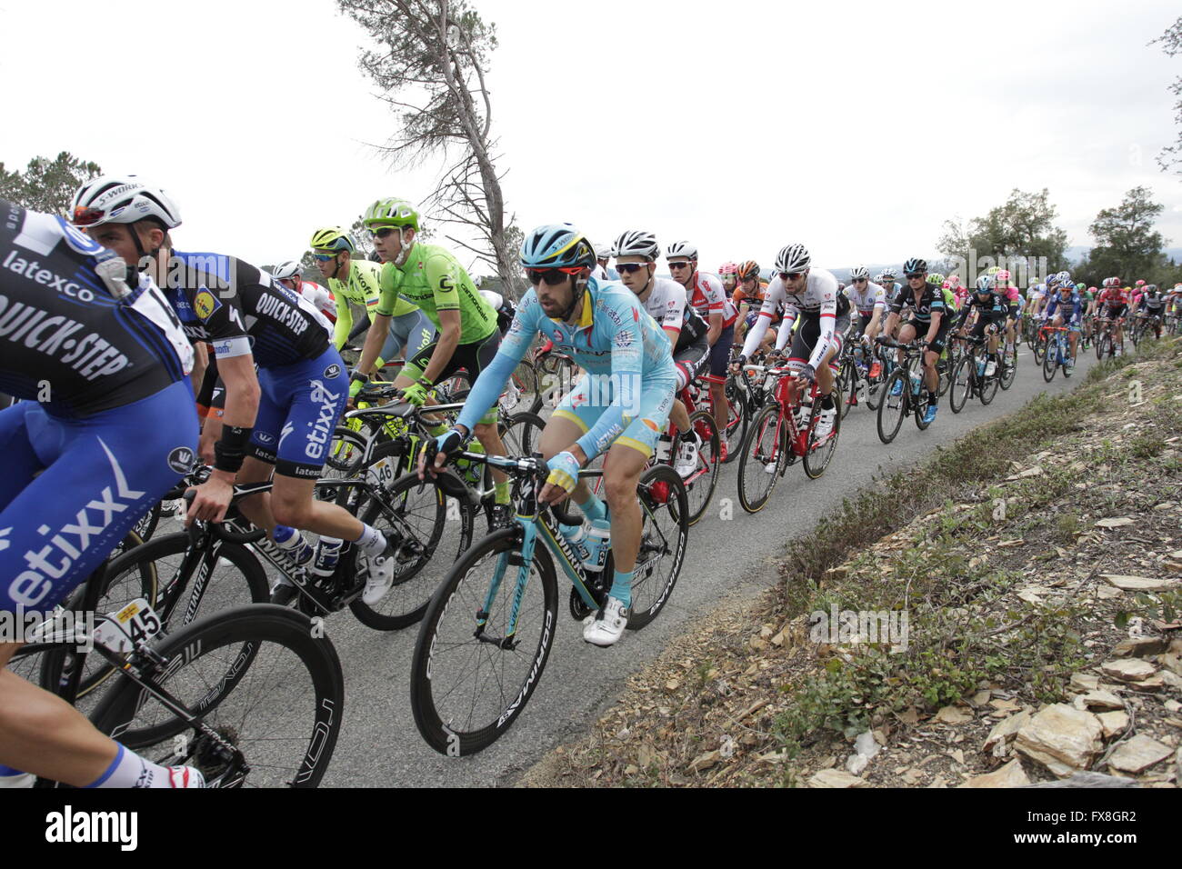 Professional cyclists competing in the Tour of Catalonia 2016 near ...