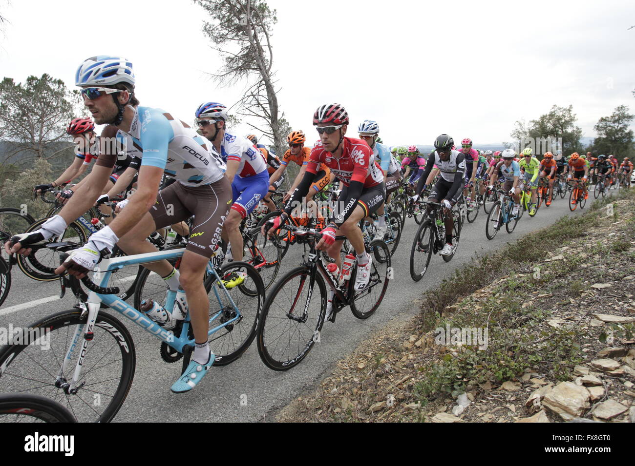 Professional cycle racing hi-res stock photography and images - Alamy