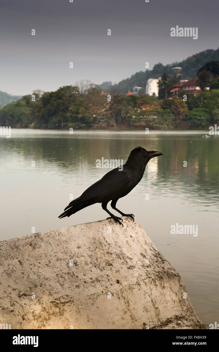 Kiri Muhuda High Resolution Stock Photography and Images - Alamy