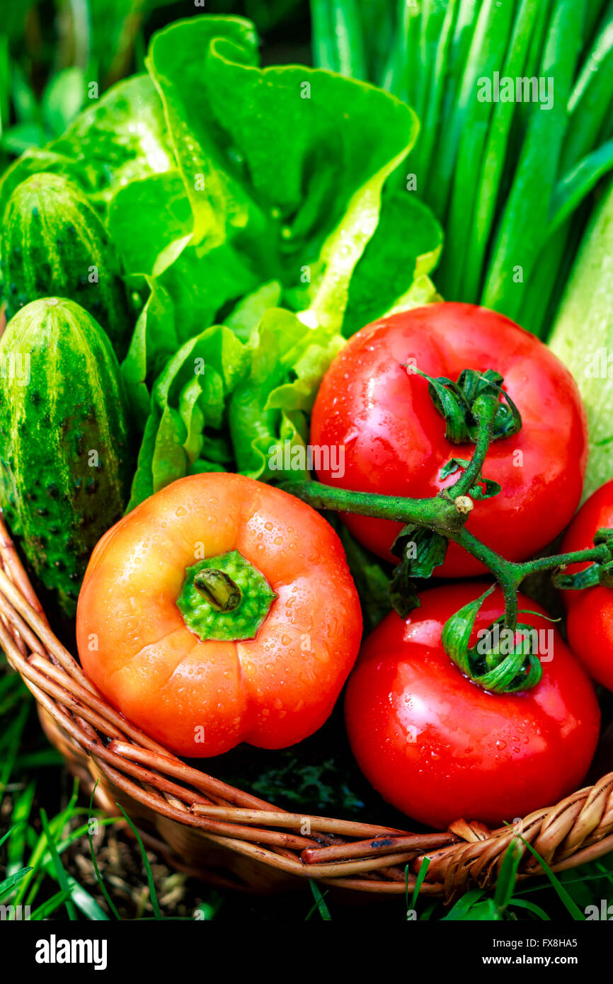 Fresh vegetables in weaved basket on grass with green background Stock ...