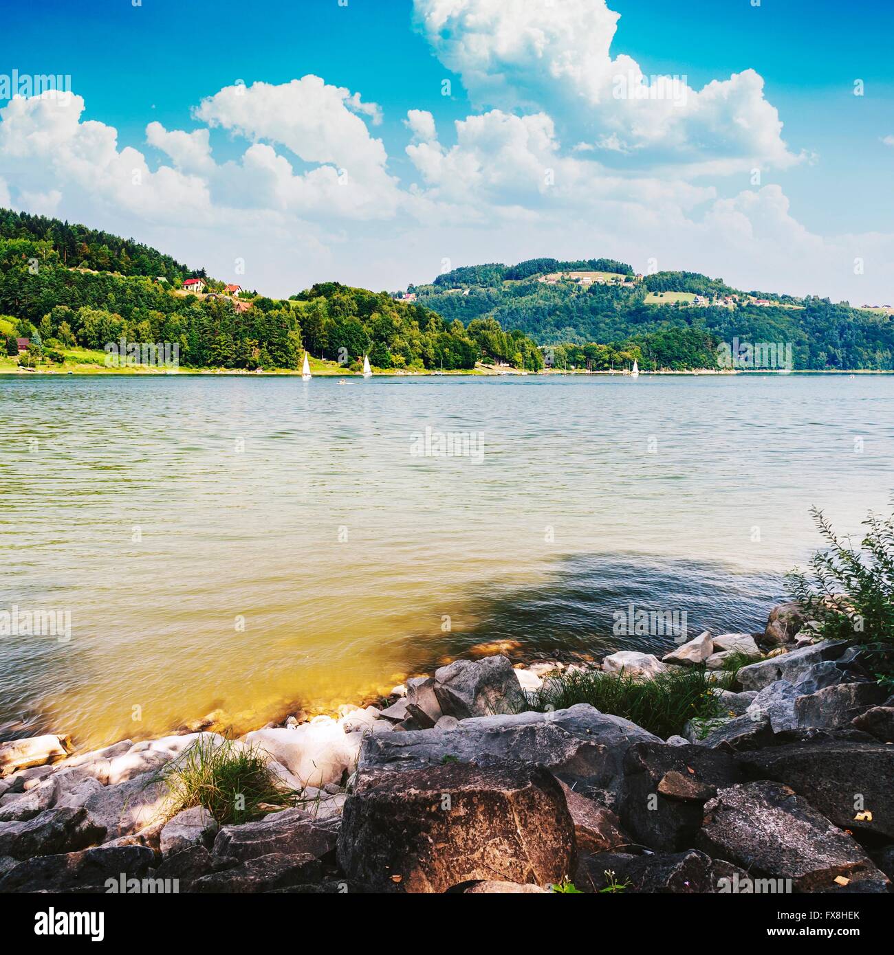 Summer day over the lake Stock Photo - Alamy