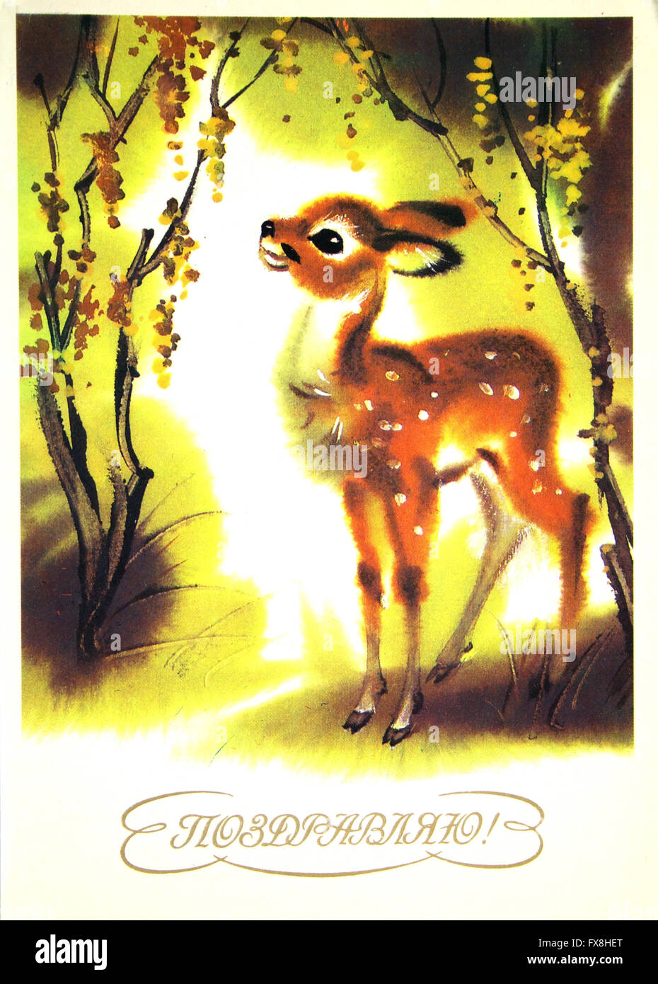USSR - CIRCA 1950: Postcard printed in the USSR shows fawn Stock Photo ...