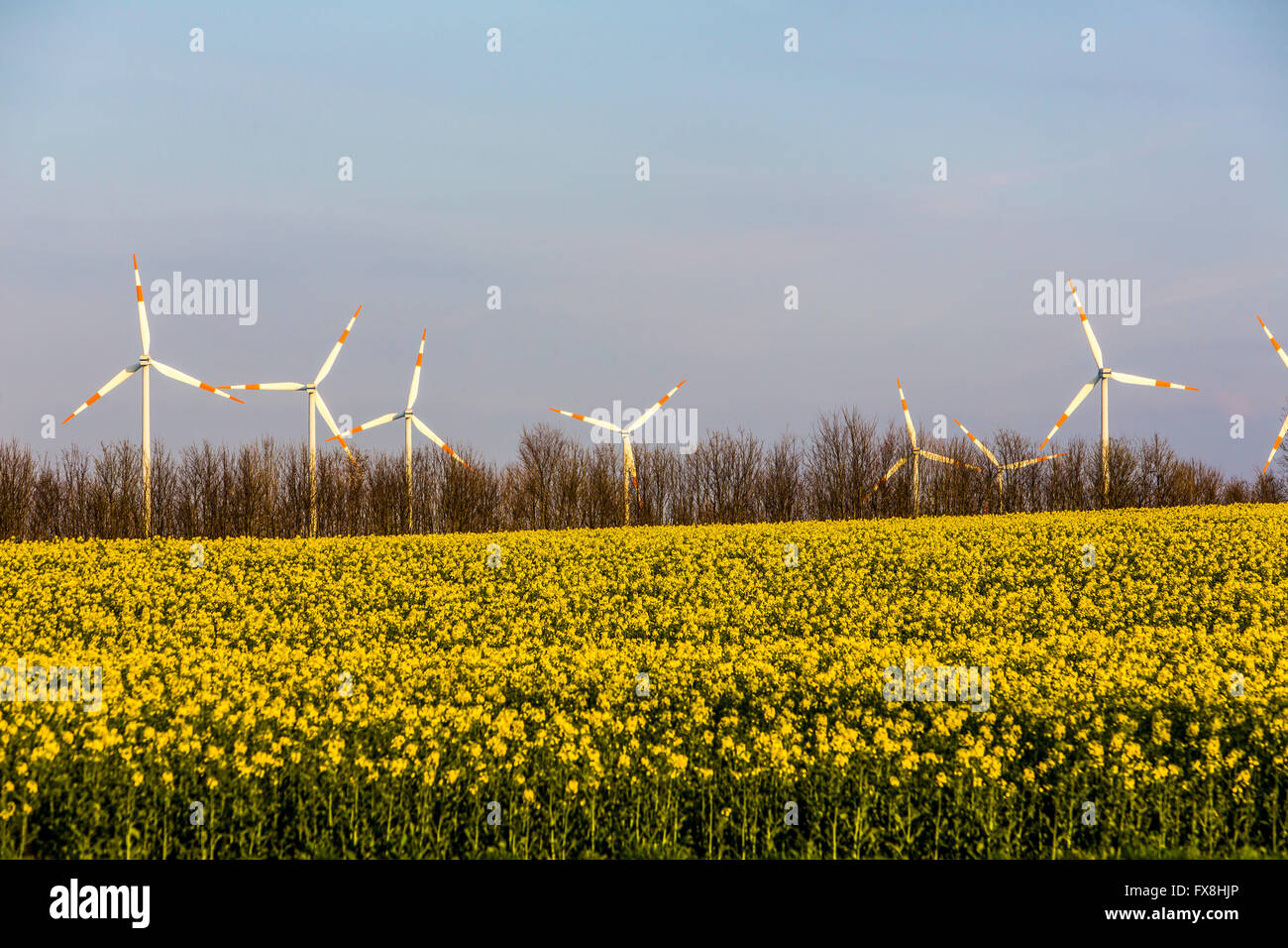 Wind energy, Wind power park in Jackerath, Germany, wind turbines ...