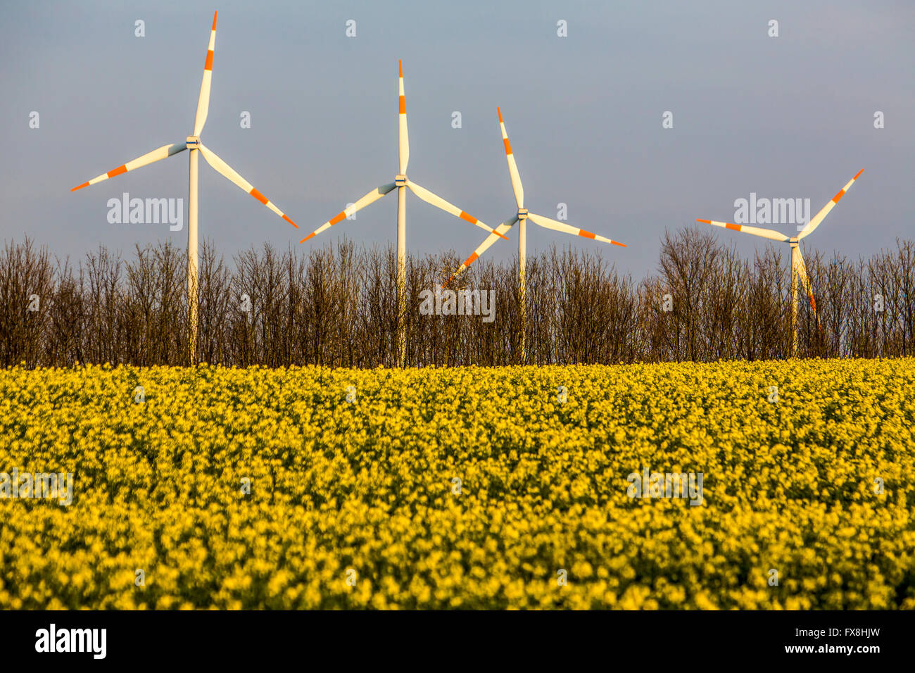 Wind energy, Wind power park in Jackerath, Germany, wind turbines ...