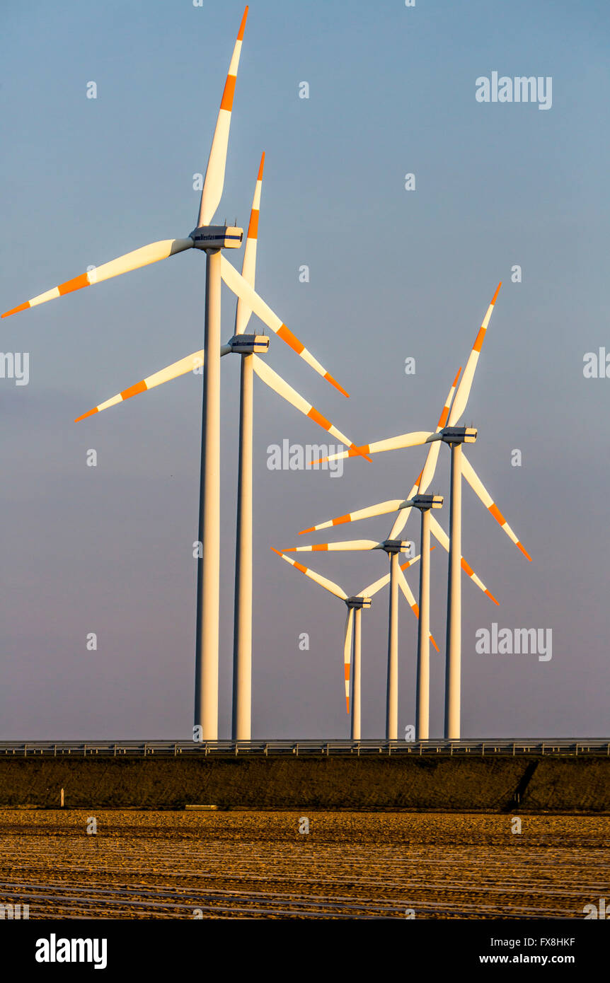 Wind energy, Wind power park in Jackerath, Germany, wind turbines ...