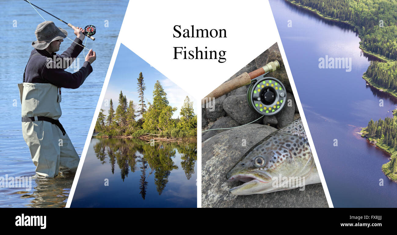Salmon catch card hi-res stock photography and images - Alamy