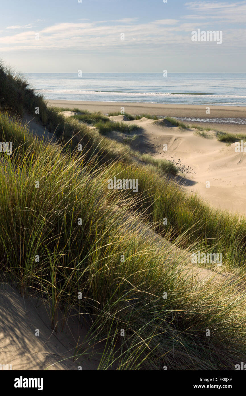 Ynyslas hiking hi-res stock photography and images - Alamy