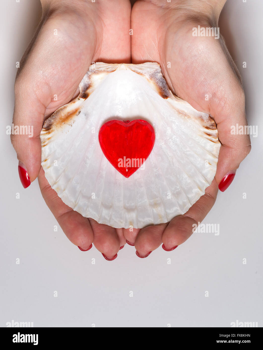 Girl holding seashells hi-res stock photography and images - Alamy