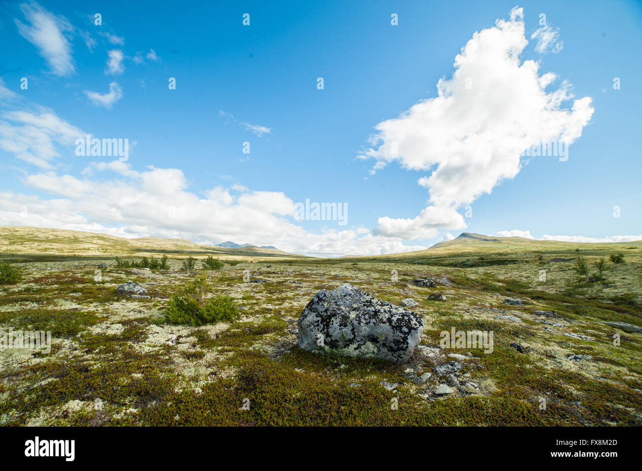 Open Norwegian plain with small mountain in the distance, covered in ...