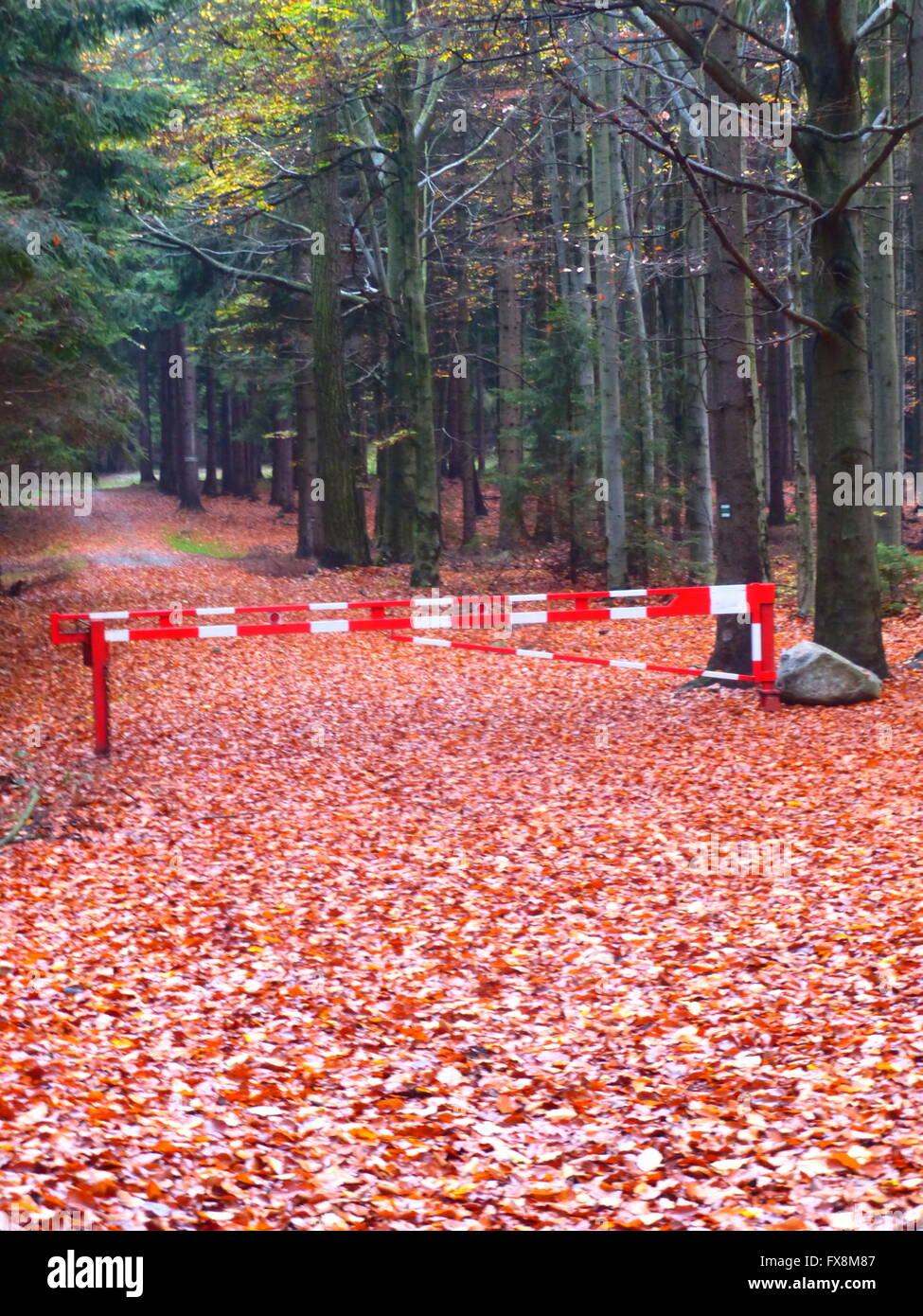 Entrance forest closed gate hi-res stock photography and images - Alamy