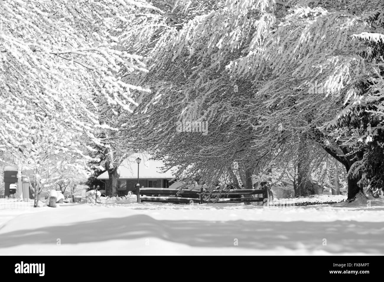 Snowfall Black and White Stock Photos & Images - Alamy
