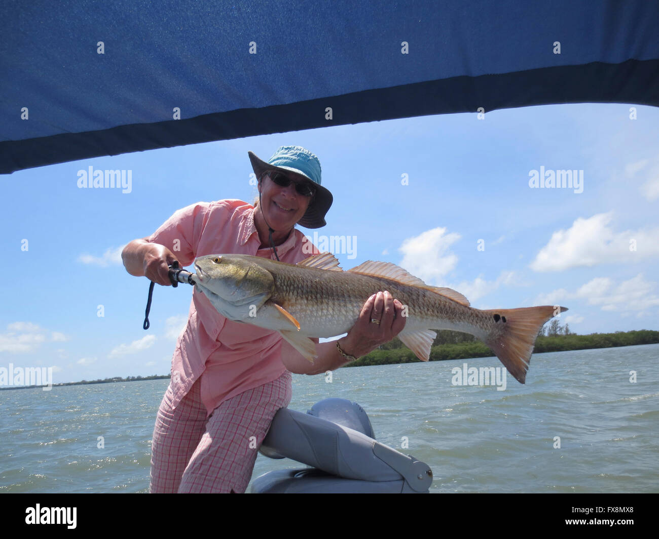 Bull Redfish Wallpaper