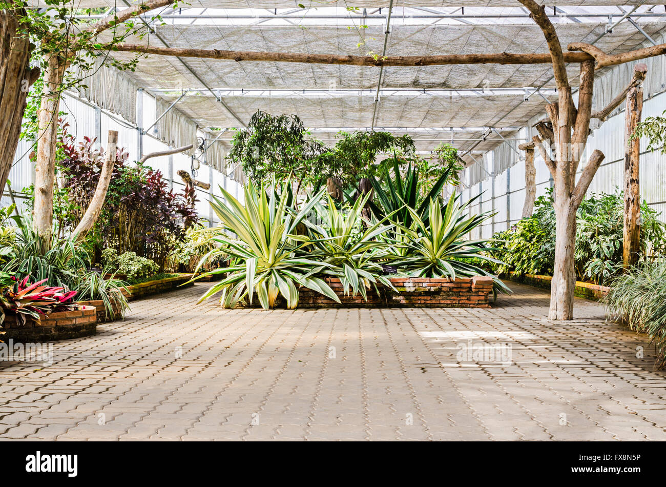 Interior of greenhouse garden with a variety of plants and flowers ...